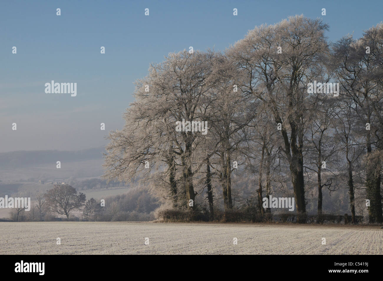 Yorkshire wolds winter hi-res stock photography and images - Alamy