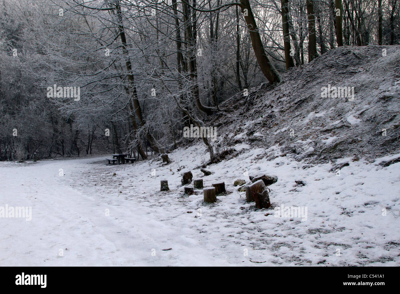 Humber bridge park hi-res stock photography and images - Alamy