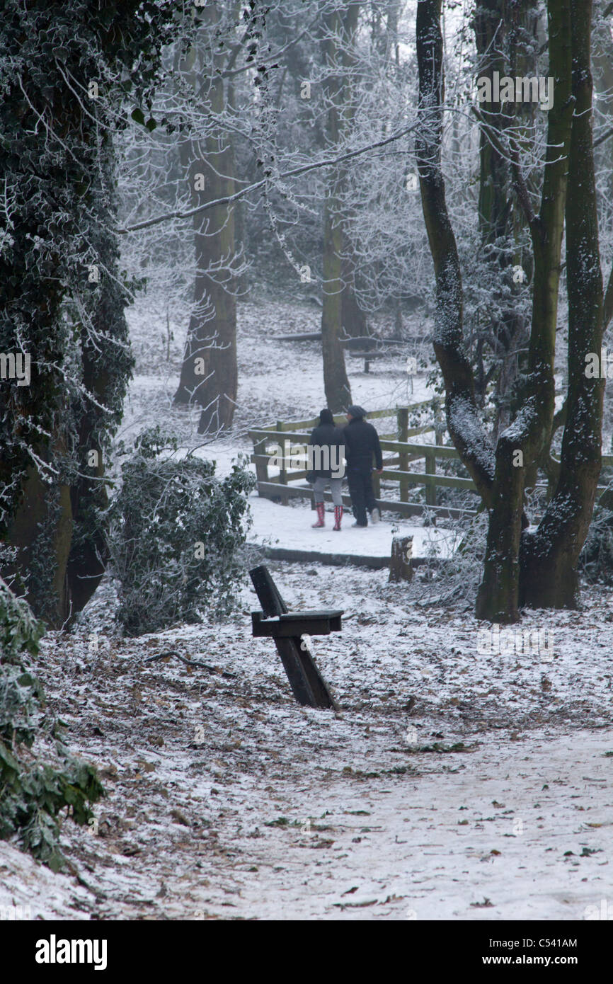 Humber Bridge Country Park in winter Stock Photo - Alamy