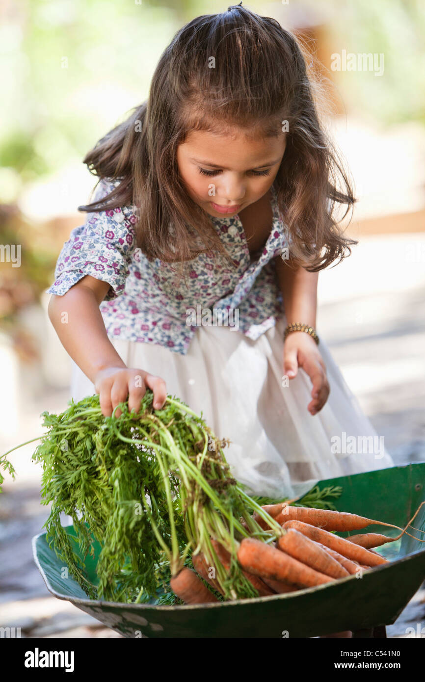 Cute girl putting carrots in a wheelbarrow Stock Photo - Alamy
