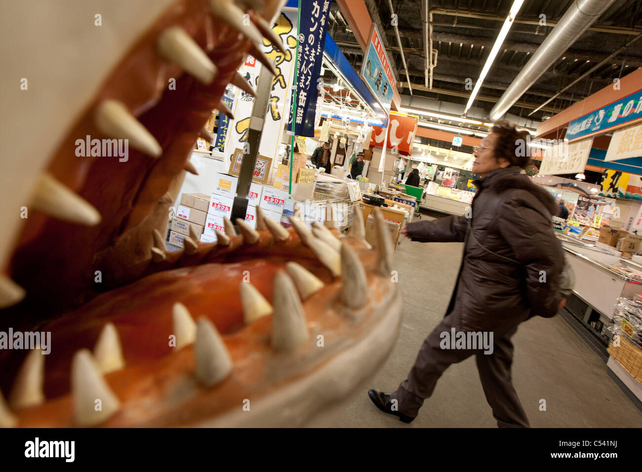 The fish market stalls, selling many shark and swordfish products, in ...