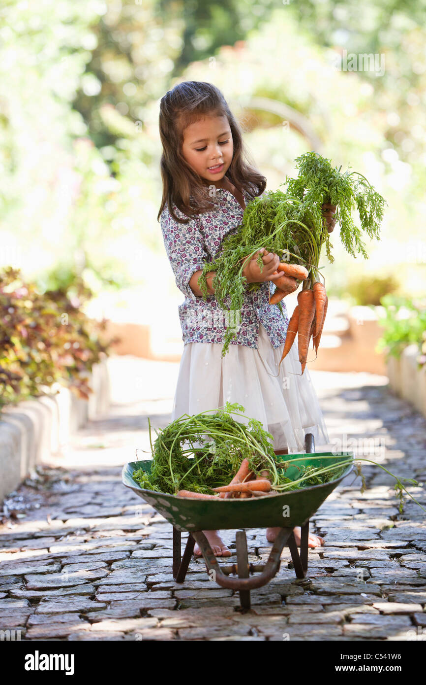 Cute girl putting carrots in a wheelbarrow Stock Photo - Alamy