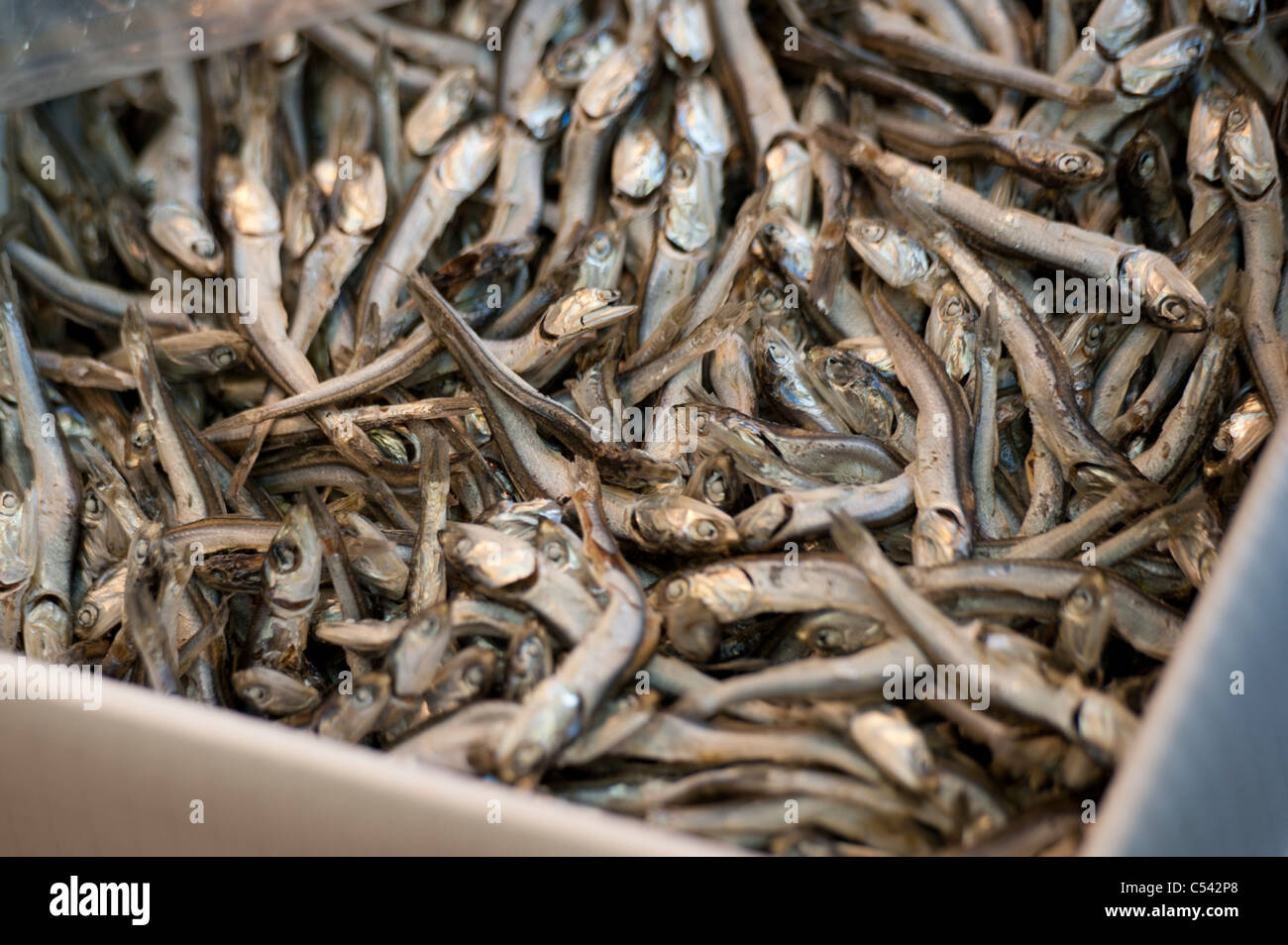 Fish for sale at a market stall in a fish market, Tokyo, Japan Stock ...