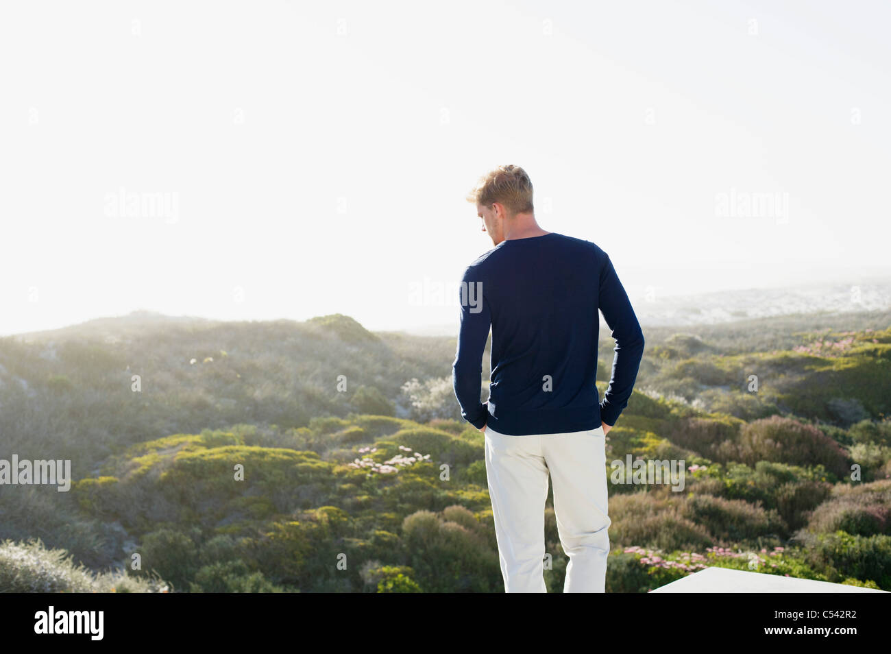 Rear view of a young man looking at view from the terrace of a house ...