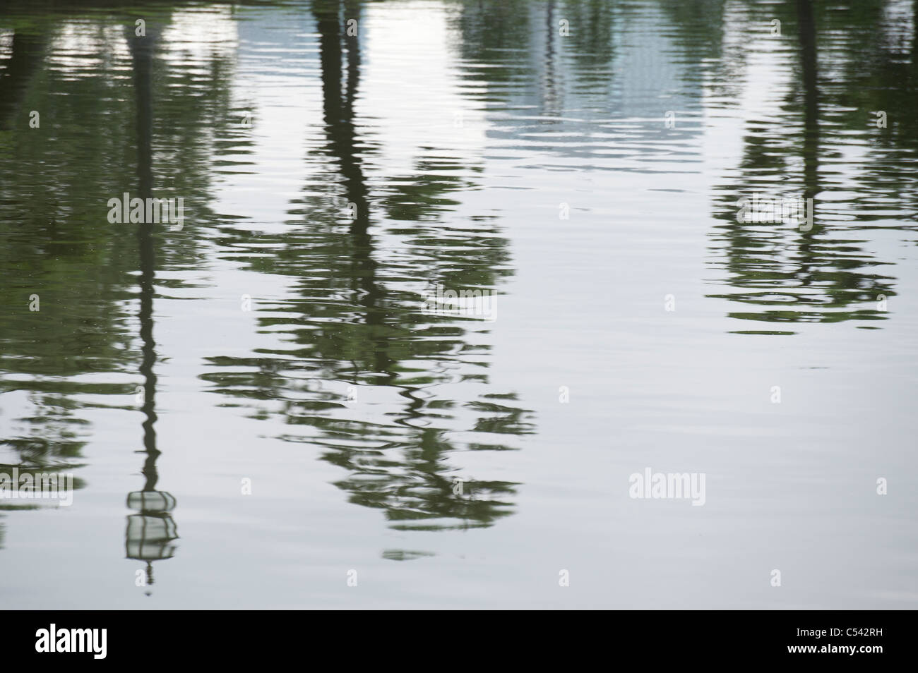 Reflection of trees in water, Kokyo Gaien, Imperial Palace, Tokyo ...