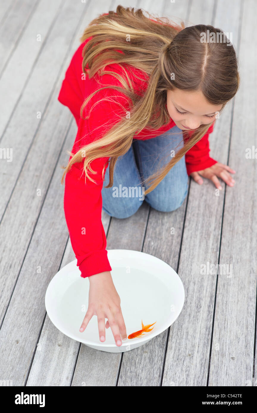 High angle view of a girl touching a fish in a bowl Stock Photo - Alamy