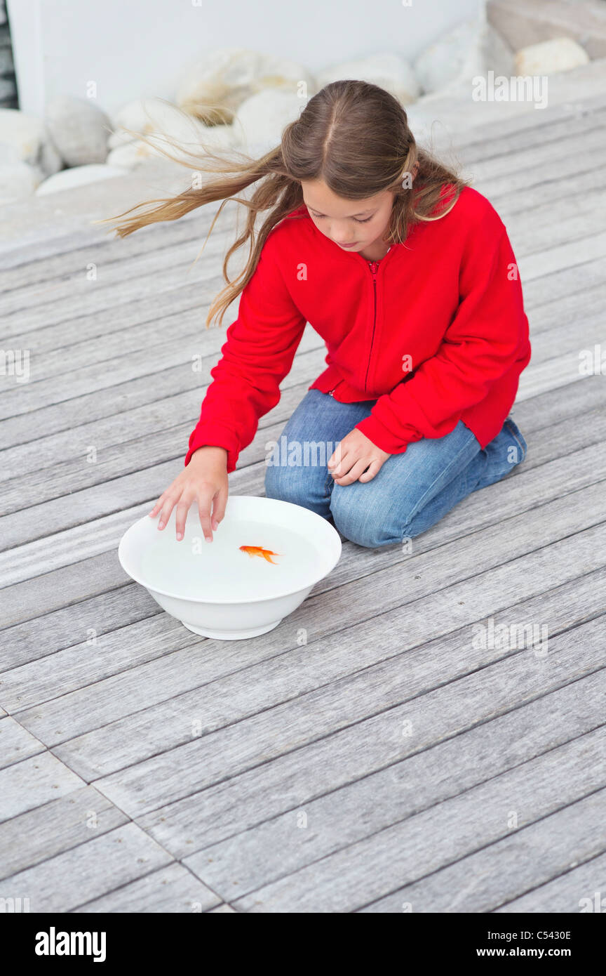 Girl touching a fish in a bowl Stock Photo - Alamy
