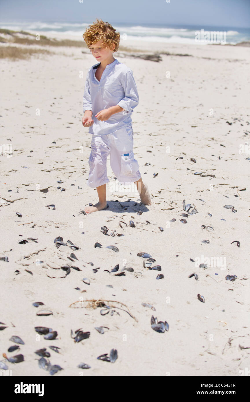 Boy collecting shells on the beach Stock Photo - Alamy