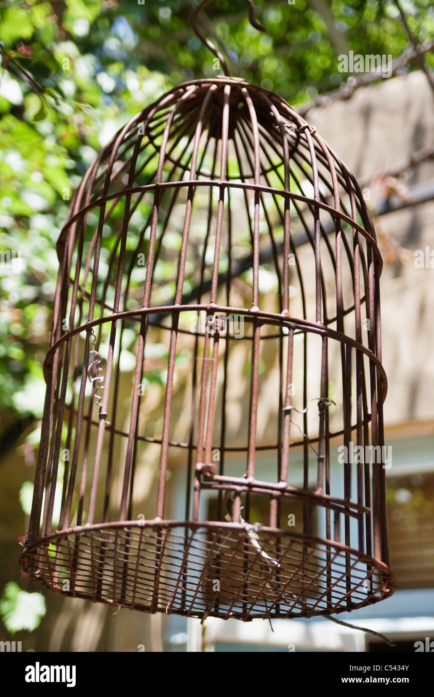 Close-up of a birdcage Stock Photo - Alamy