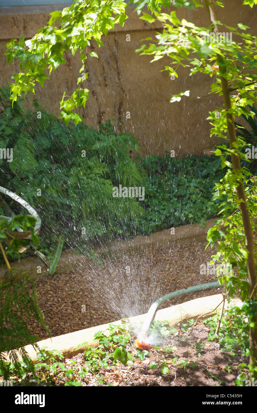 Water splashing from pipe in a garden Stock Photo - Alamy