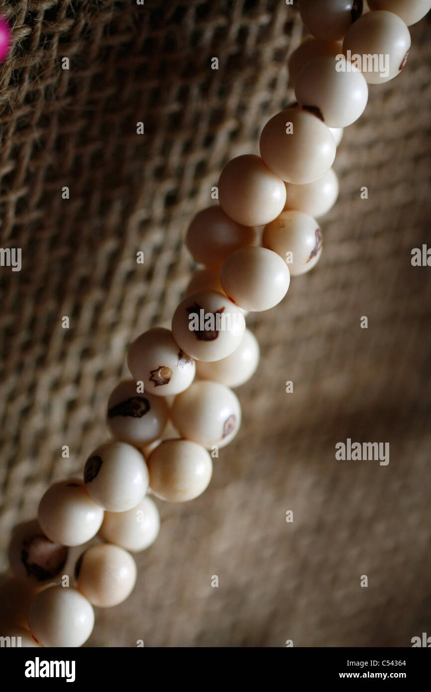 Richard Reed , Founder of Innocent Drinks visiting members of a womens ...