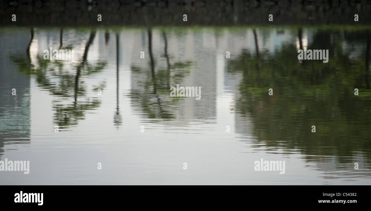 Reflection of trees in water, Kokyo Gaien, Imperial Palace, Tokyo ...