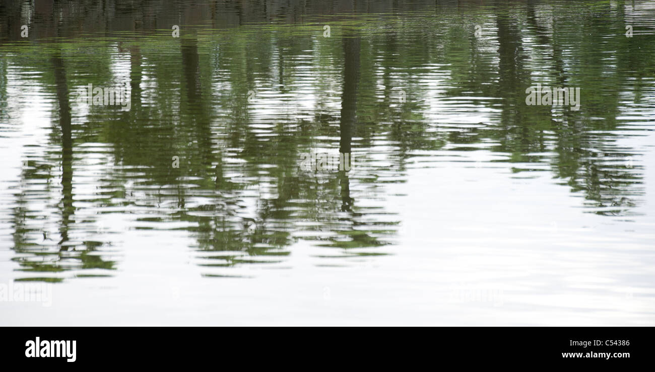 Reflection of a trees in water, Kokyo Gaien, Imperial Palace, Tokyo ...