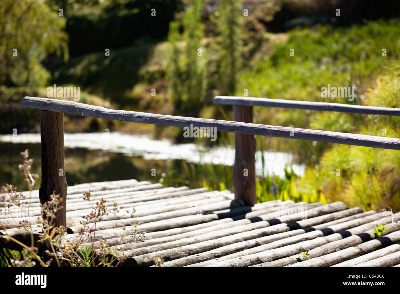 View of bamboo pier Stock Photo - Alamy