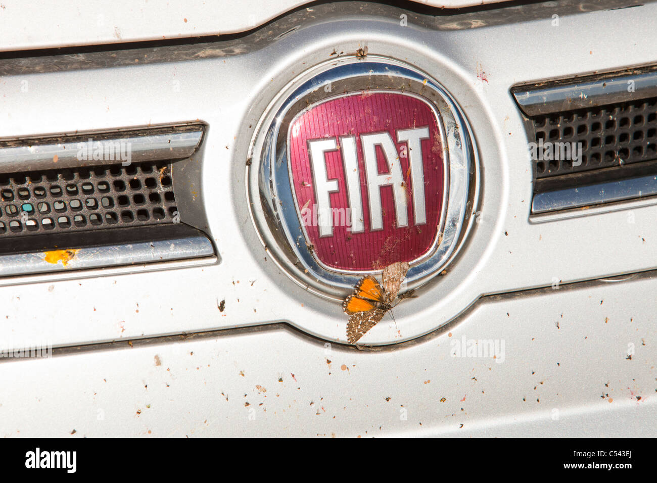 Splattered insects hi-res stock photography and images - Alamy