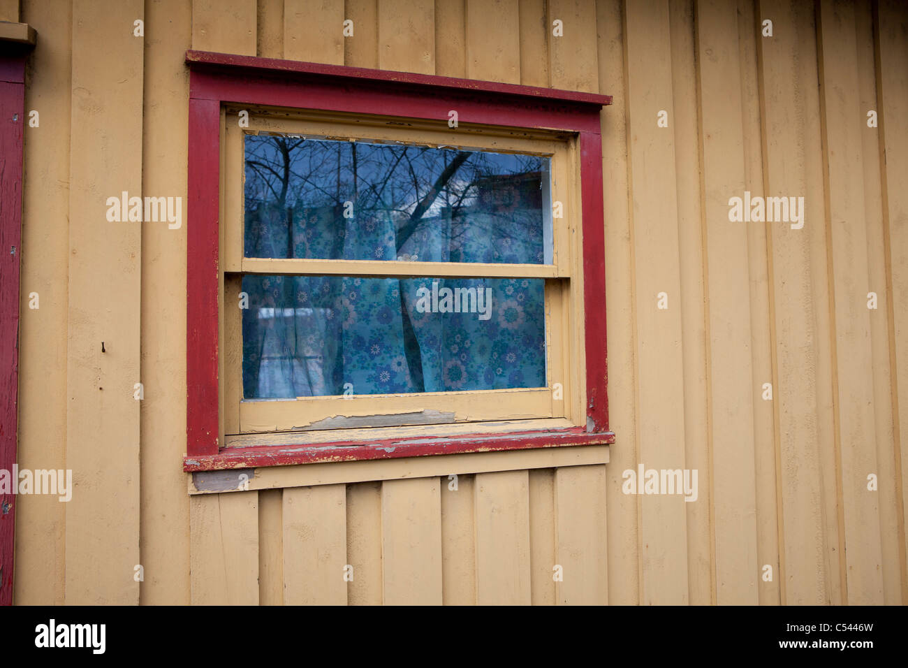Maroon painted wood with red framed window with curtains covering Stock ...