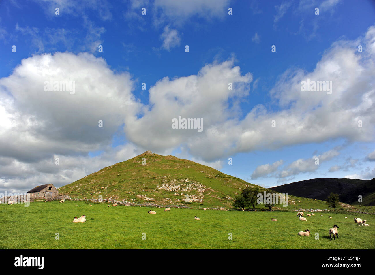 Thorpe Cloud a popular hill with walkers when they visit Dovedale in ...