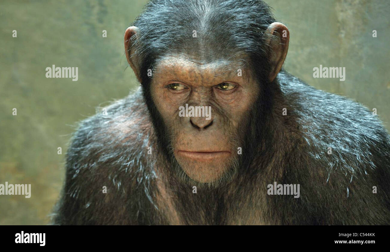 Planet of the apes hi-res stock photography and images - Alamy
