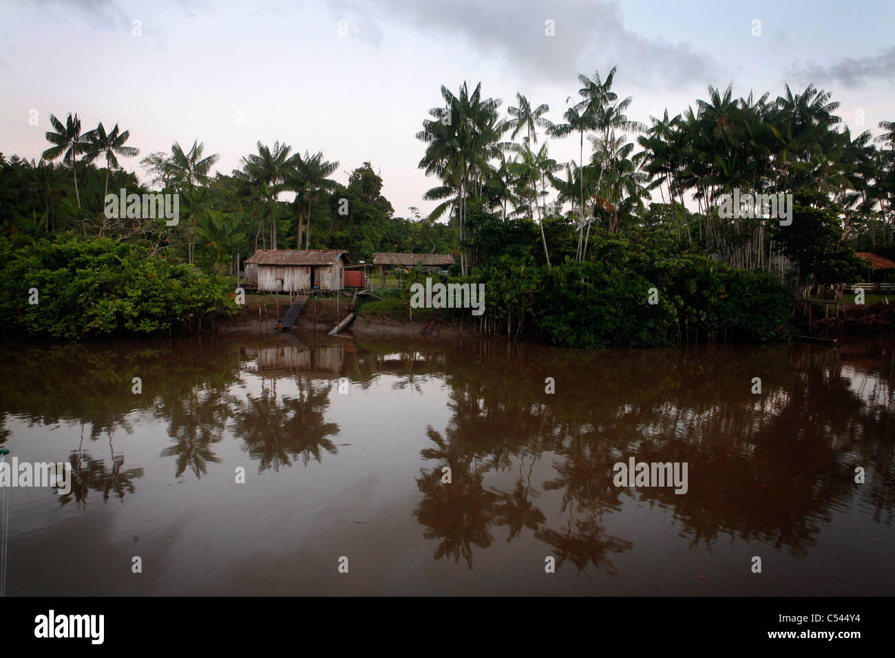 Amazon estuary hi-res stock photography and images - Alamy