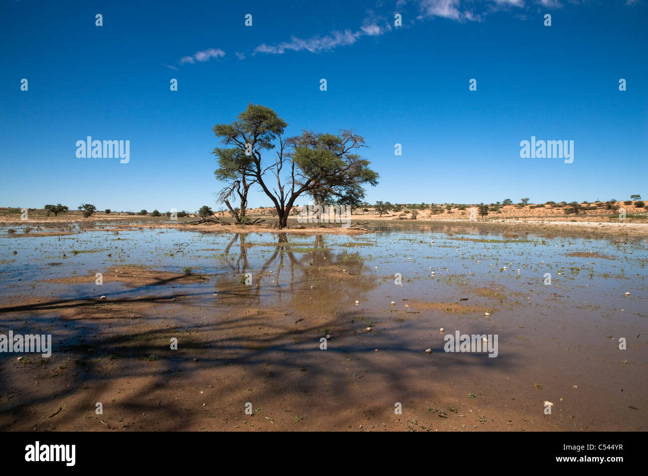 Ephemeral dry river hi-res stock photography and images - Alamy