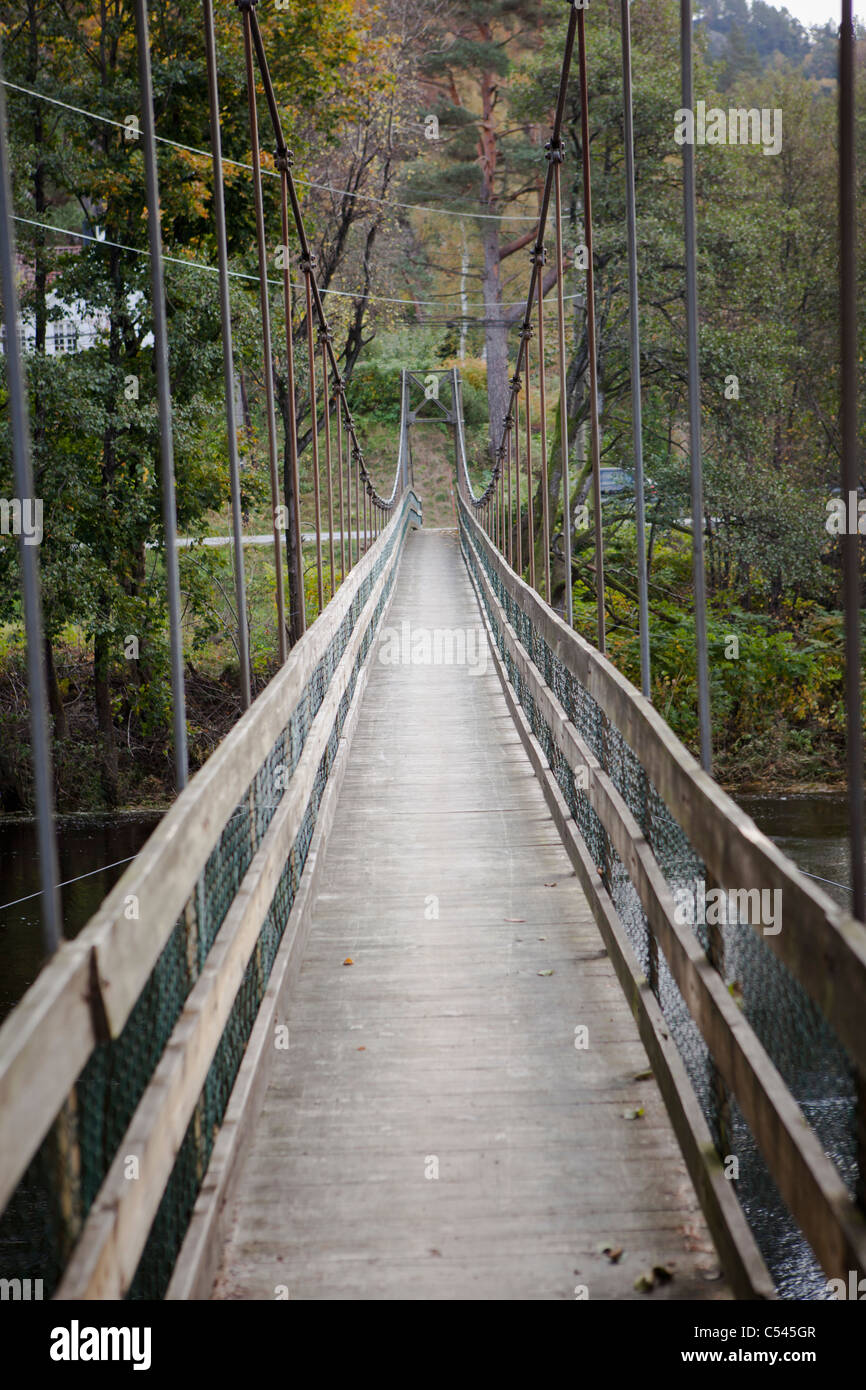 Suspended bridge in wilderness Stock Photo - Alamy