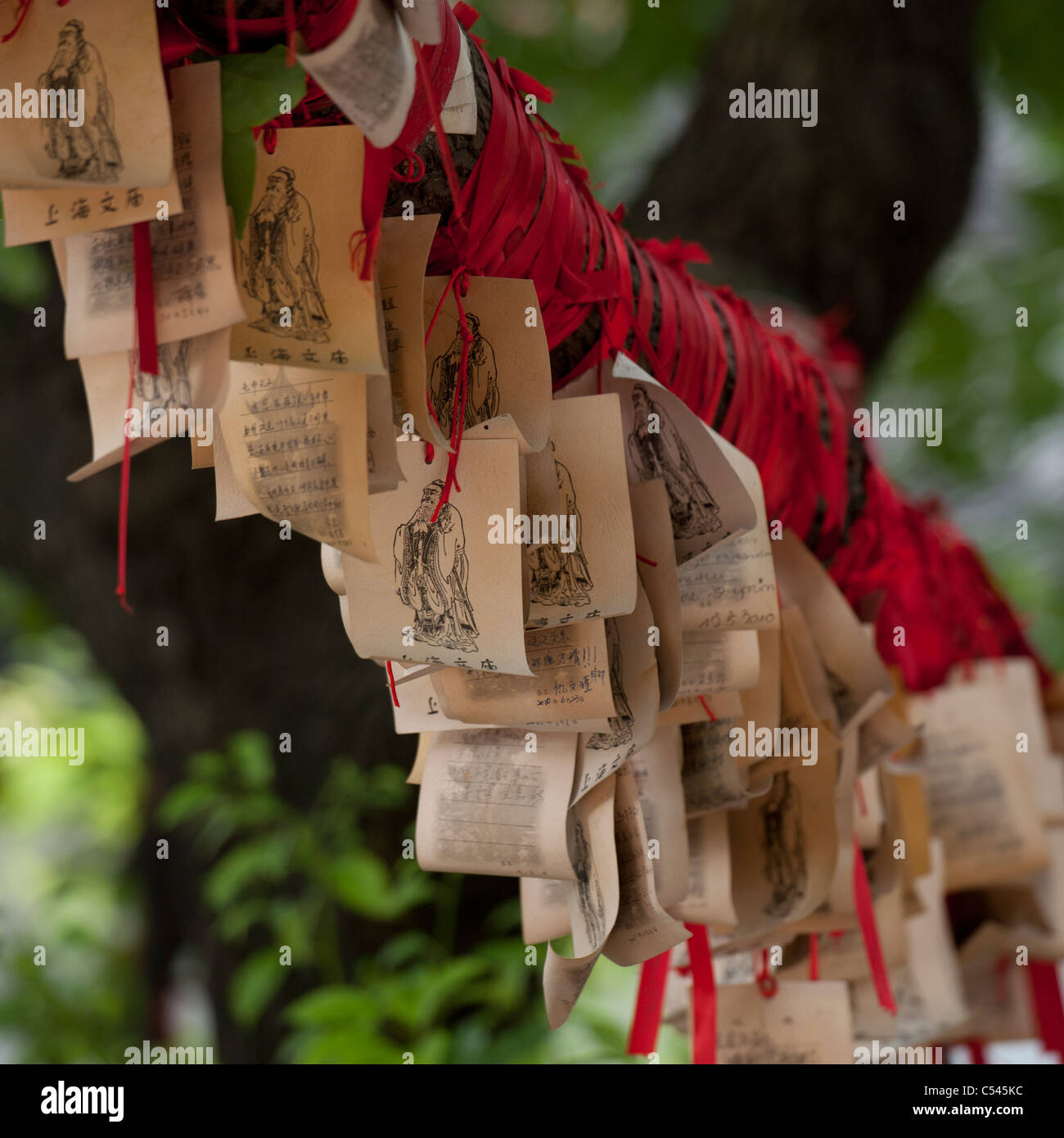 Prayer ribbons tied to a tree, Shanghai, China Stock Photo - Alamy