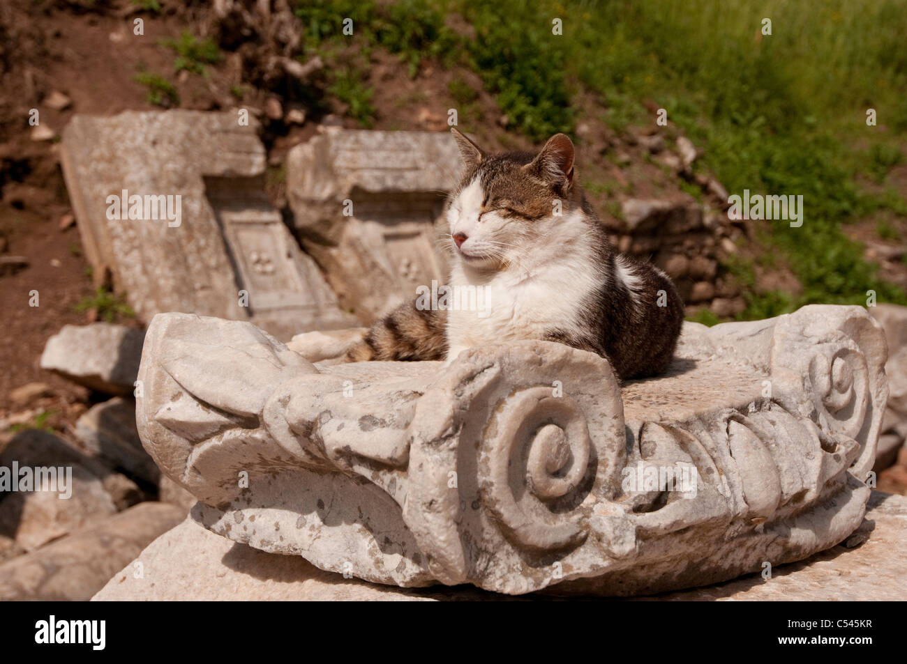 Crumbling column hi-res stock photography and images - Alamy
