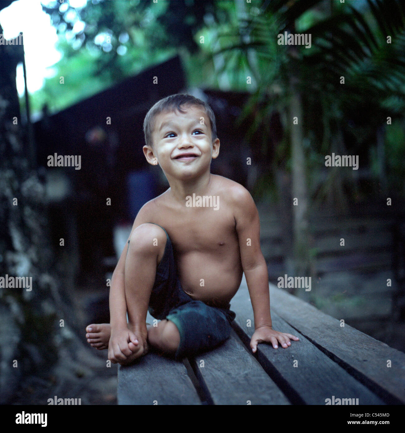 Ribeirinhos (river people) living on the Picanco River, Amazonian ...