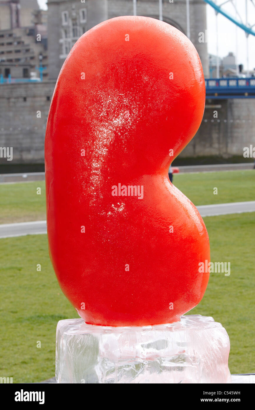 Two kidneys, made of red ice representing the amount of blood they ...