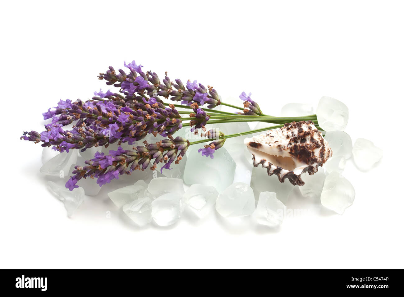 Salt bath with lavender and shells Stock Photo - Alamy