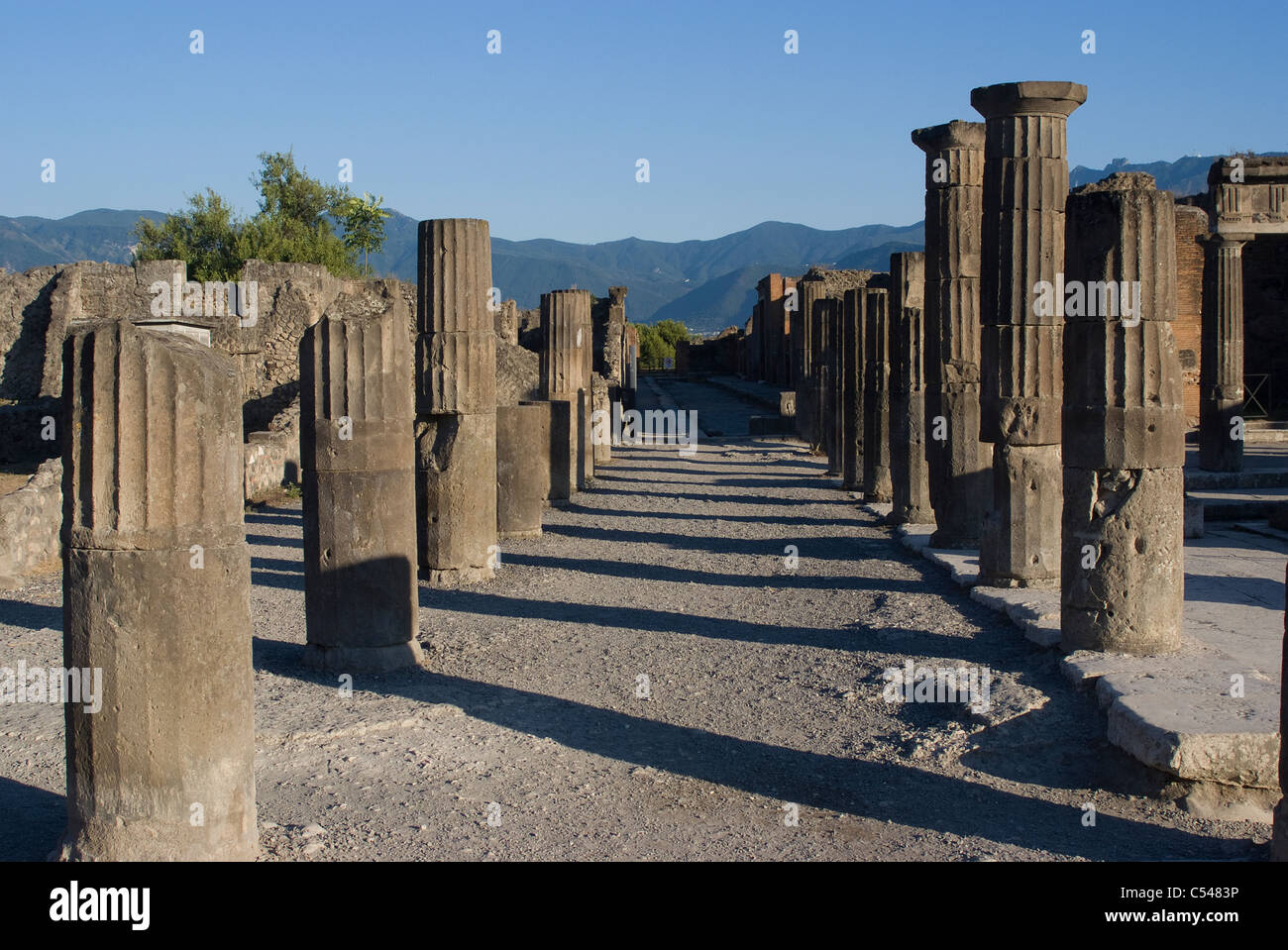Later afternoon view of the Forum of the ancient Roman ruins of Pompeii ...