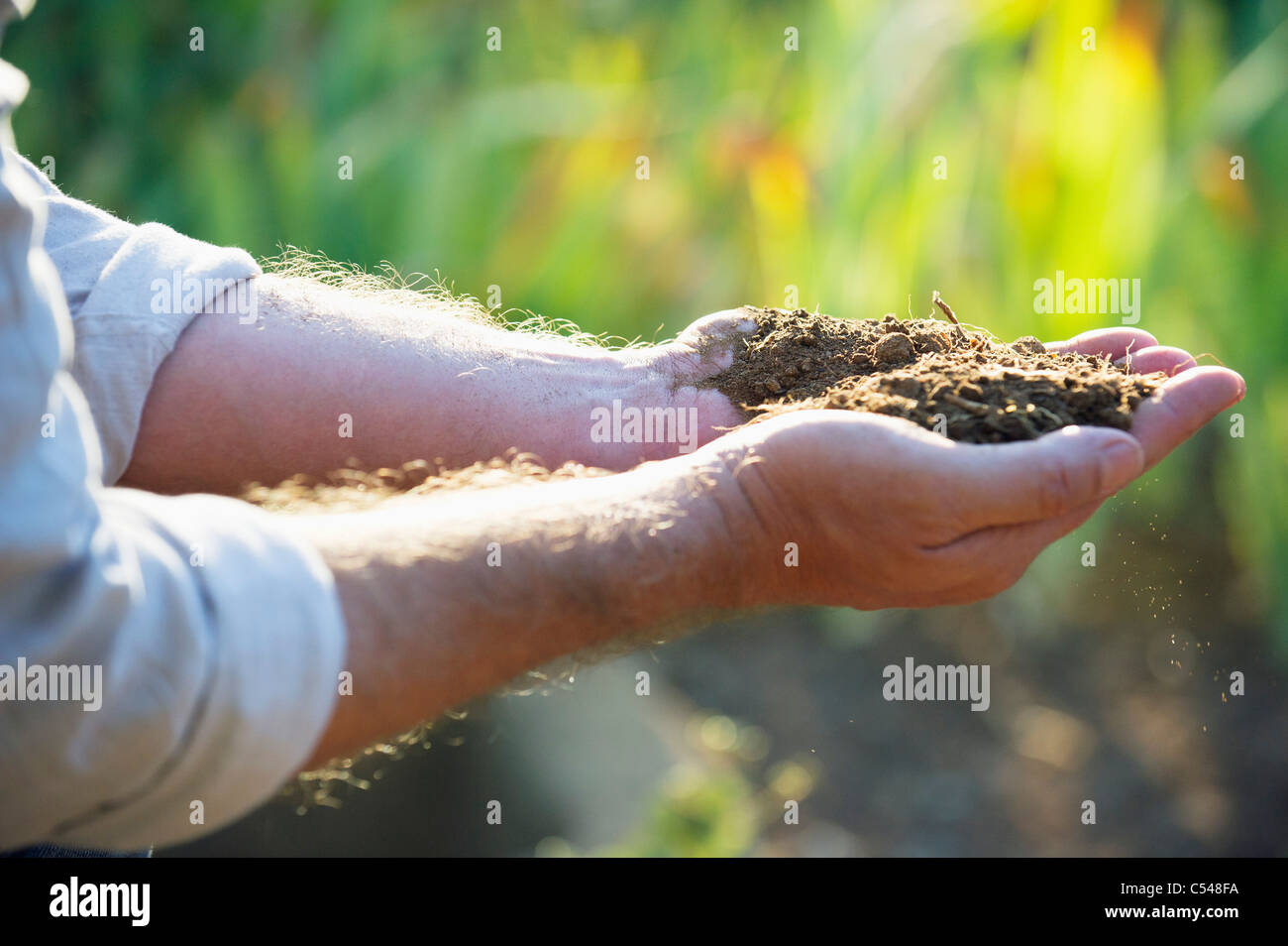 Hand with soil hi-res stock photography and images - Alamy