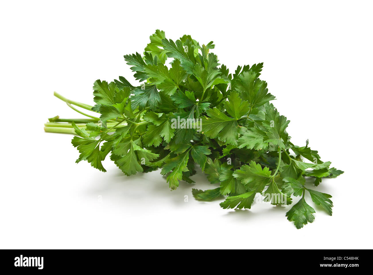 Sprig of parsley Isolated on white background Stock Photo - Alamy