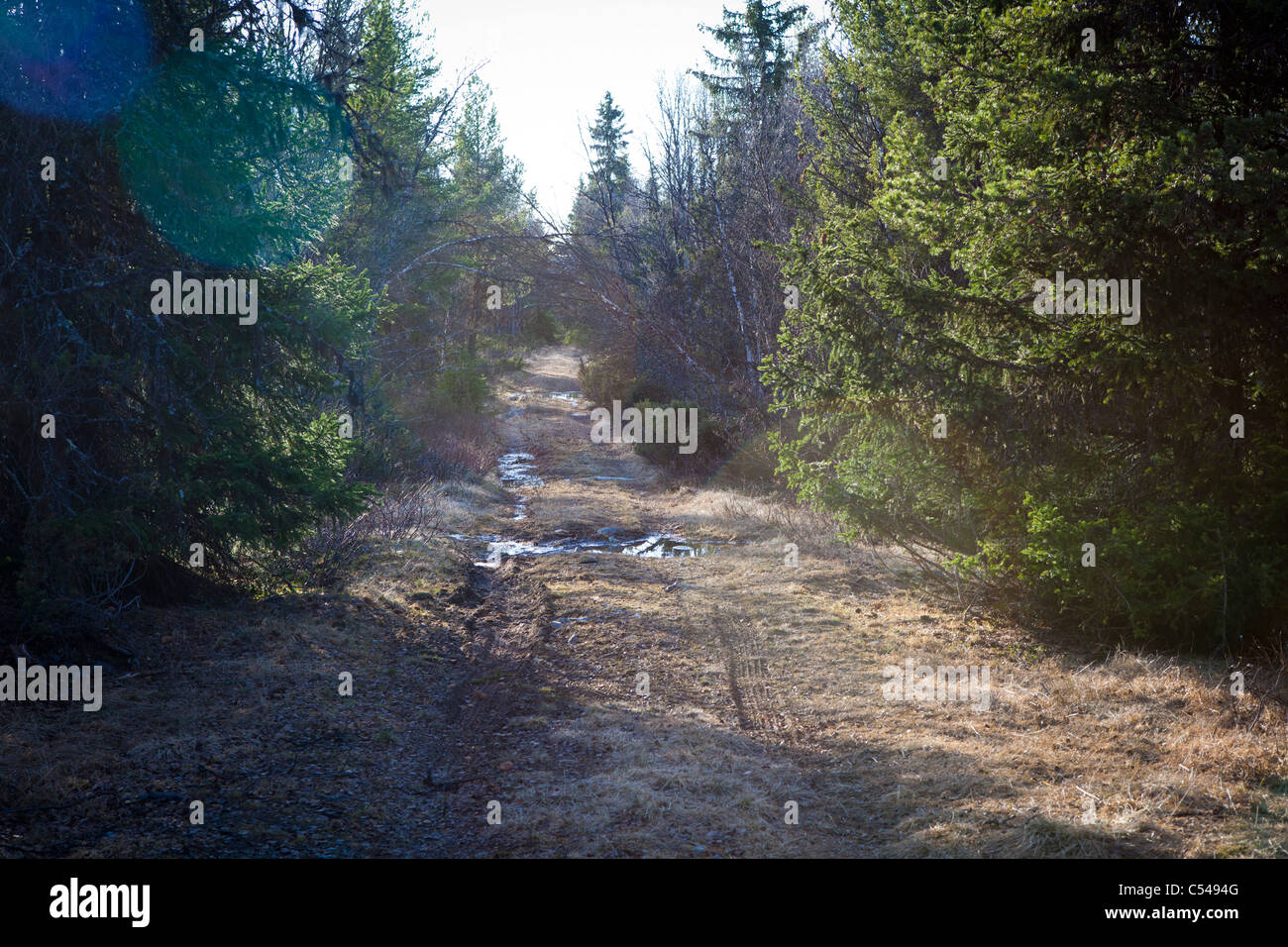 Shortcut road hi-res stock photography and images - Alamy