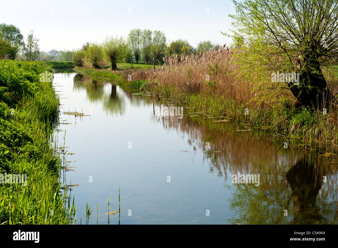 River parrett hi-res stock photography and images - Alamy