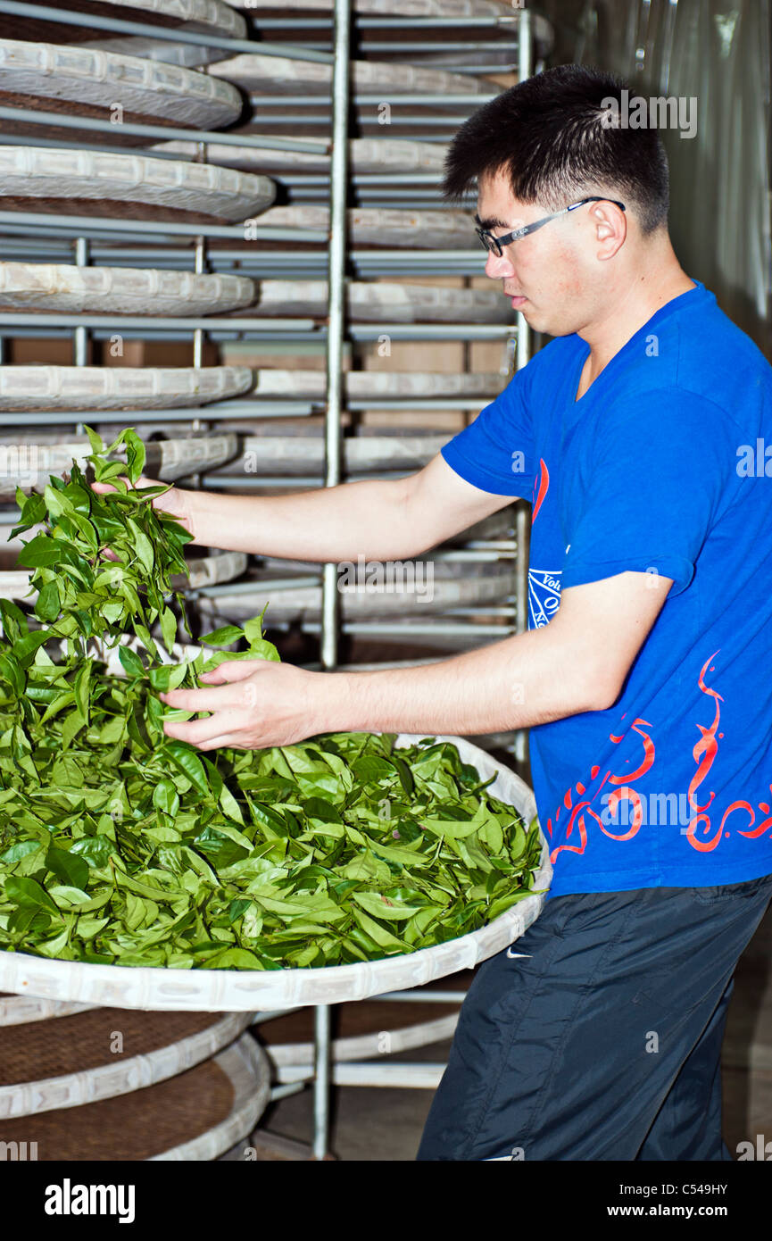 Ali mountain tea hi-res stock photography and images - Alamy