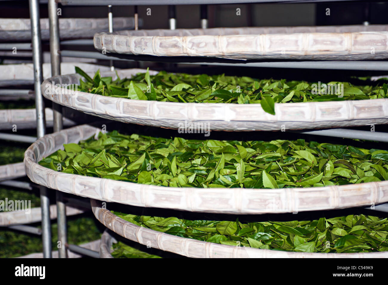 Ali mountain tea hi-res stock photography and images - Alamy