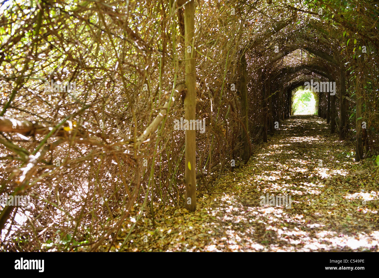 Garden Tunnel High Resolution Stock Photography and Images - Alamy