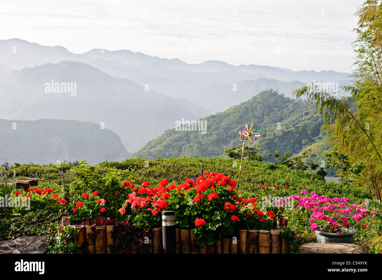 Alishan national park chiayi taiwan hi-res stock photography and images ...