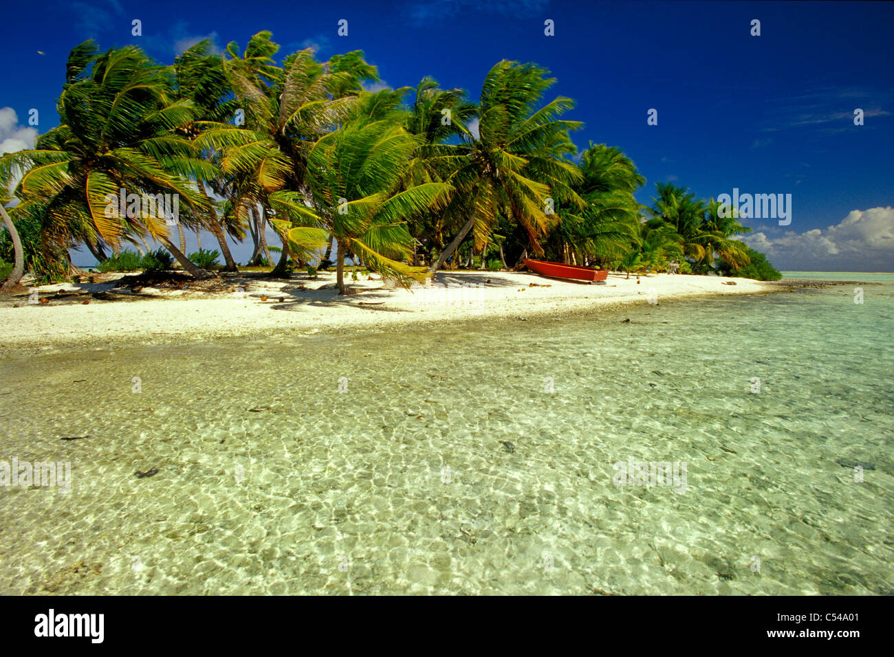 Tropical island with palm tree-lined beach, Blue lagoon, Rangiroa ...