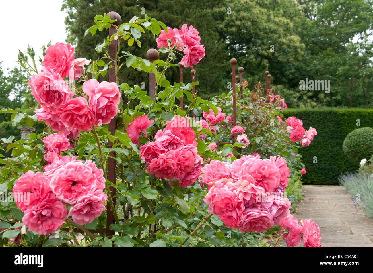 Belvoir Castle and Gardens, near Grantham in Leicestershire England UK ...