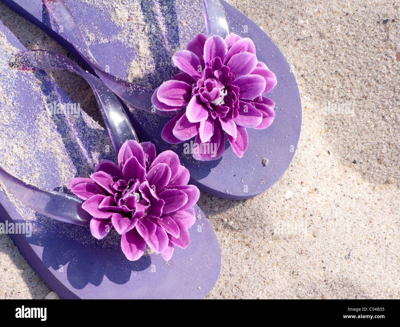 Ladies sandals hi-res stock photography and images - Alamy