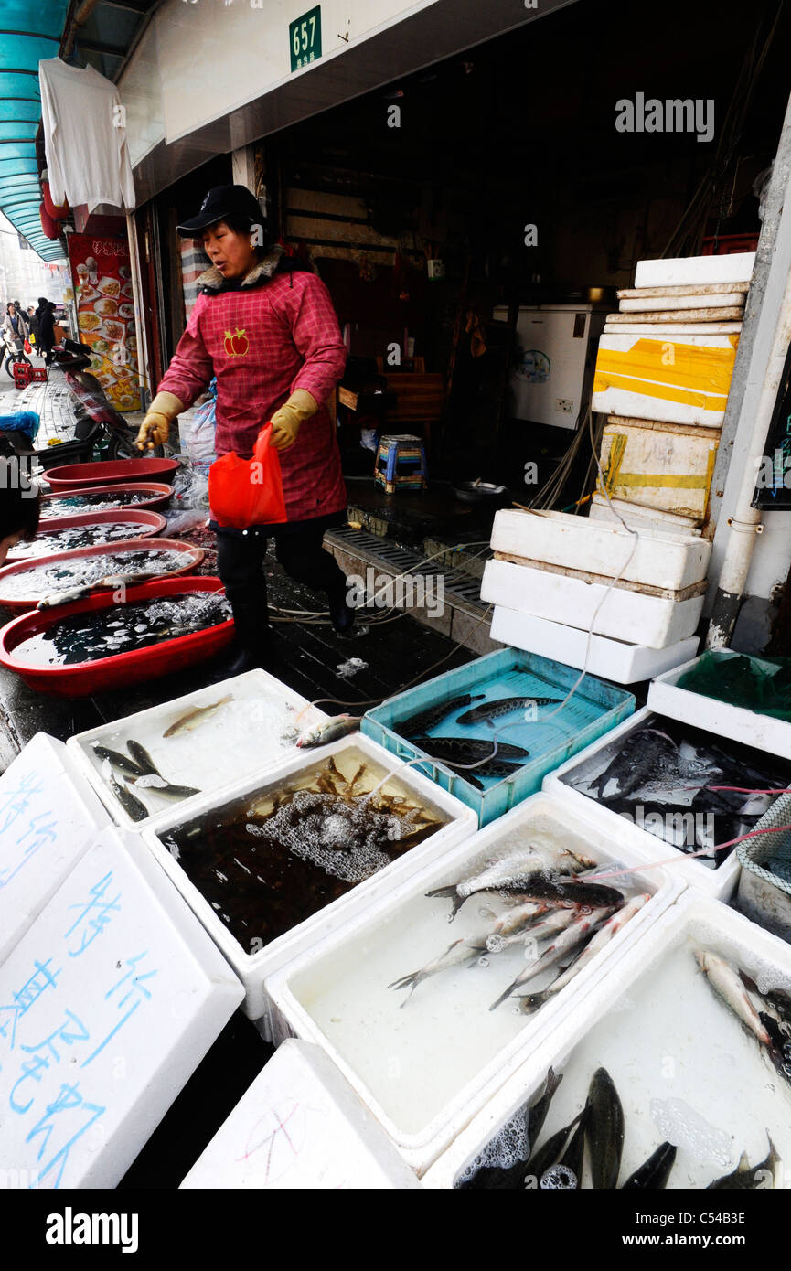 Fish seller in Shanghai Stock Photo - Alamy