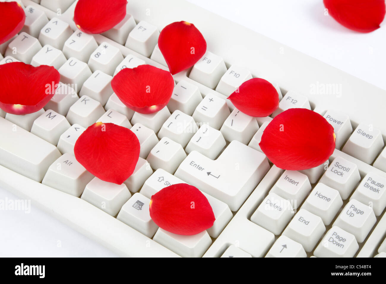 Rose Keyboard High Resolution Stock Photography and Images - Alamy