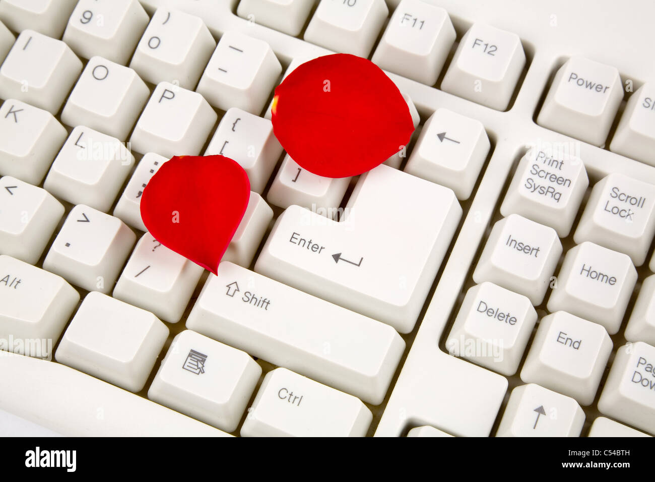 red rose petals and keyboard, love concept Stock Photo - Alamy