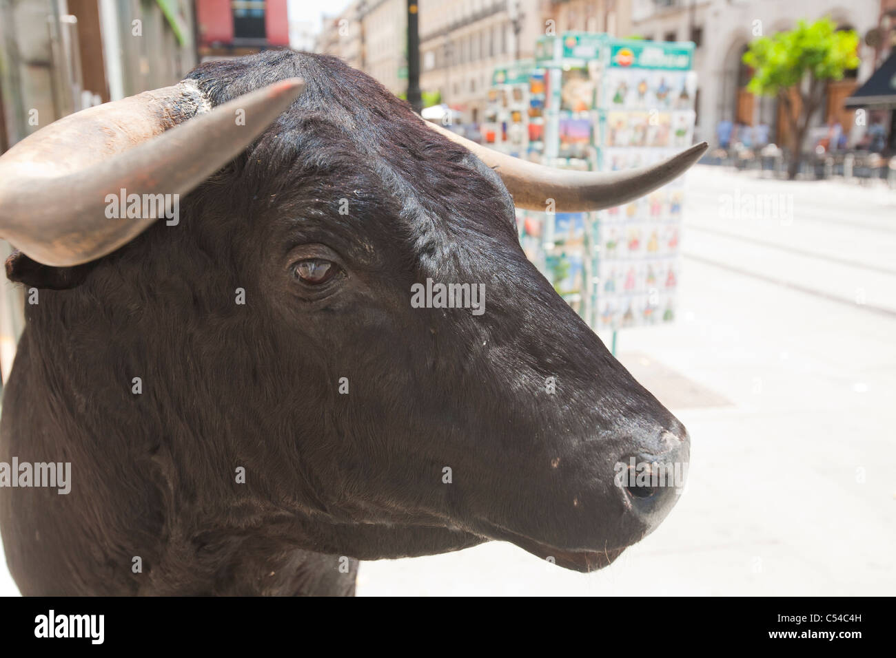 Bull fighting hi-res stock photography and images - Alamy