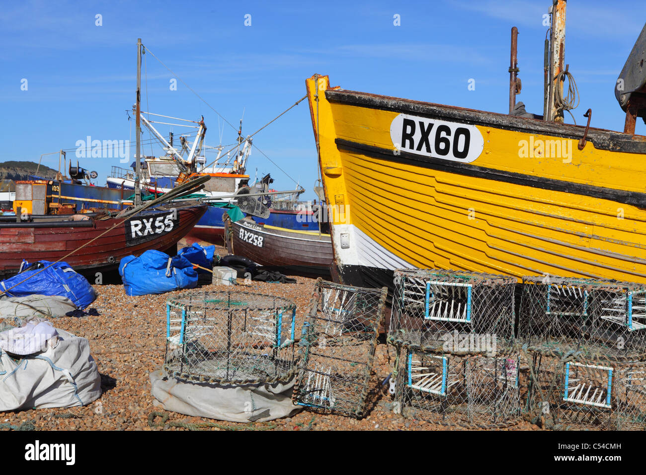 Cuttlefish british hi-res stock photography and images - Alamy