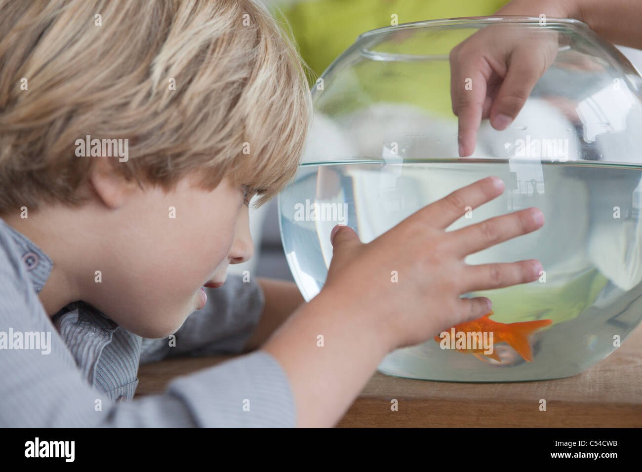 South pointing fish hi-res stock photography and images - Alamy