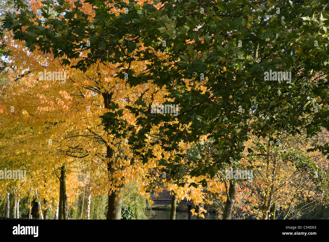Autumn in London, England Stock Photo - Alamy