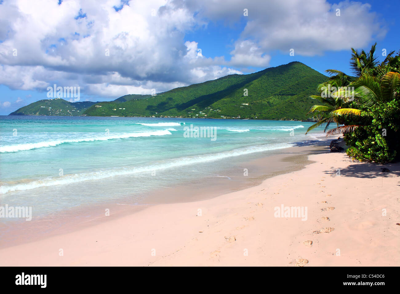 Tortola bvi cove beach hi-res stock photography and images - Alamy Tortola bvi cove beach hi-res stock photography and images - Alamy